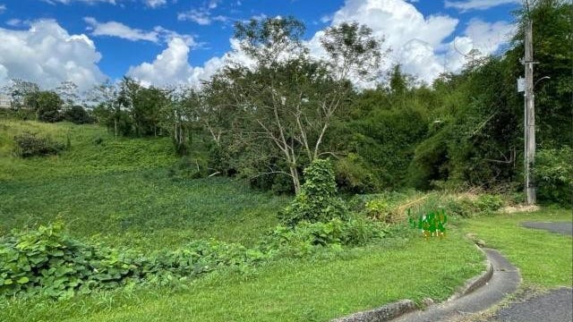 00680 ALHELI ST 19, Río Cañas Abajo, Mayaguez, Adjuntas 00680 Land for ...