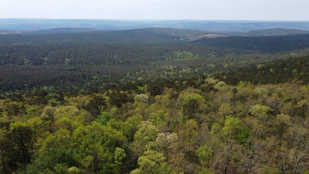 Tract 10 Black Fork Trail, Nashoba, OK 74558 Land for Sale - realestate ...