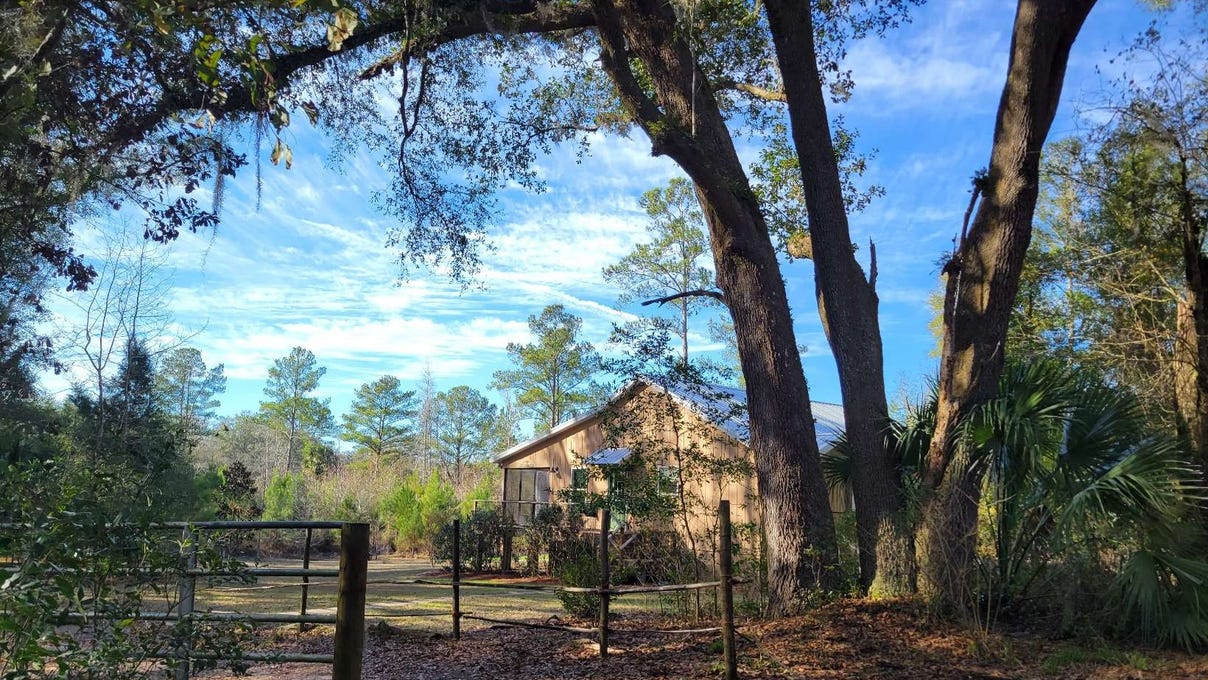 18299 217TH ROAD, Live Oak, FL 32060 House for Sale - realestate.com.au