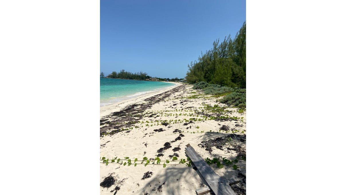 BLUFF ROAD, Nicholls Town, Central Andros Land for Sale - realtor.com