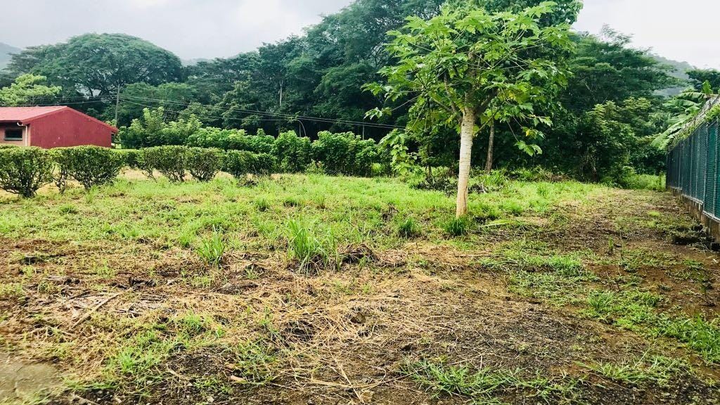 Quebrada Ganado, Puntarenas, Address available on request Land for Sale ...