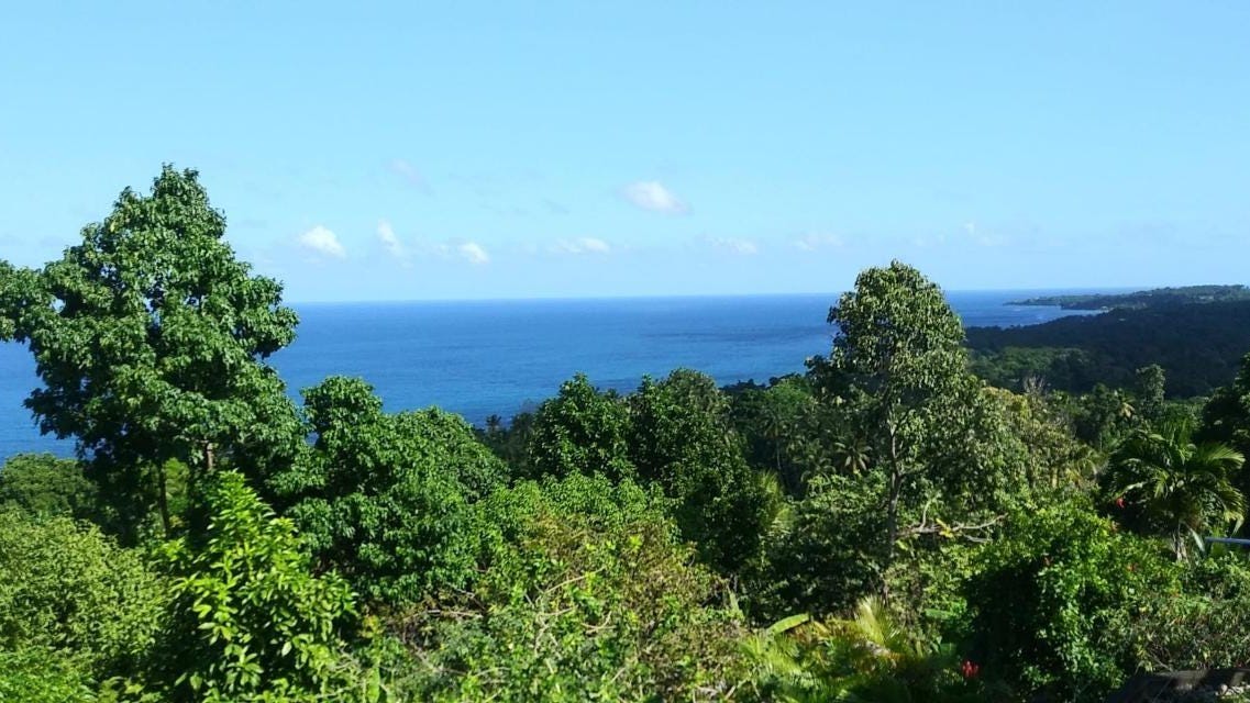 Lot #6 SPRING GARDEN, BUFF BAY,, Buff Bay, Portland Parish Land for ...