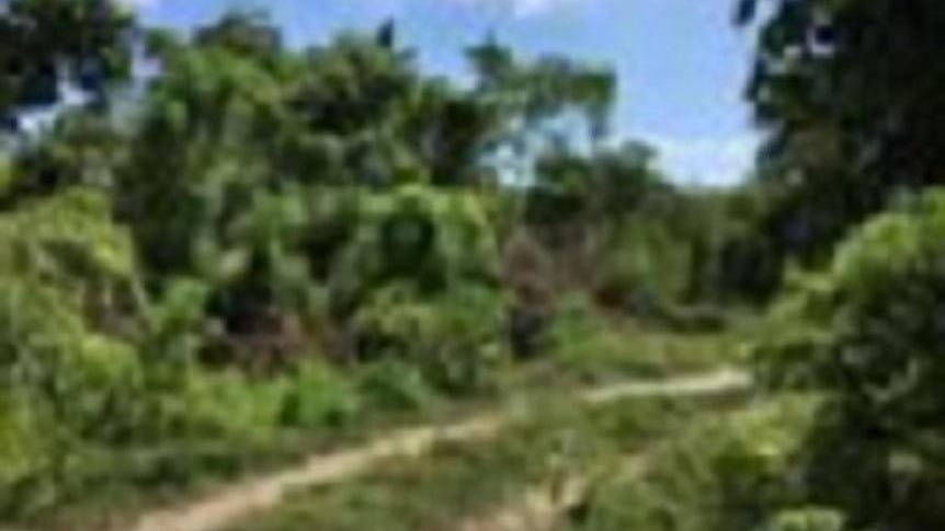 MANGO VALLEY, ST. MARY, Boscobel, St. Mary Parish Land for Sale ...